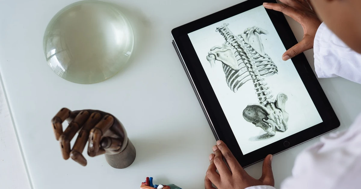 Hard Tissue – Its Types And Where Is It Found?