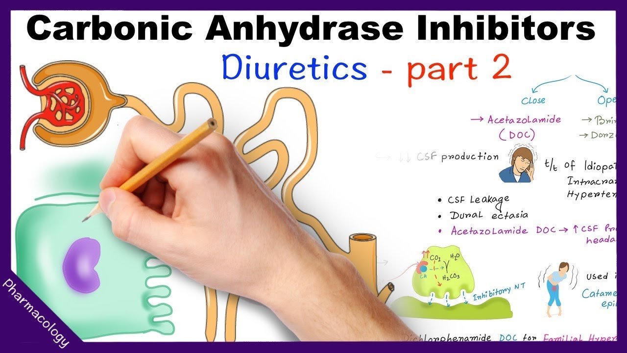 Carbonic Anhydrase Inhibitor – Overview Of Its Uses And Mechanism Of Action
