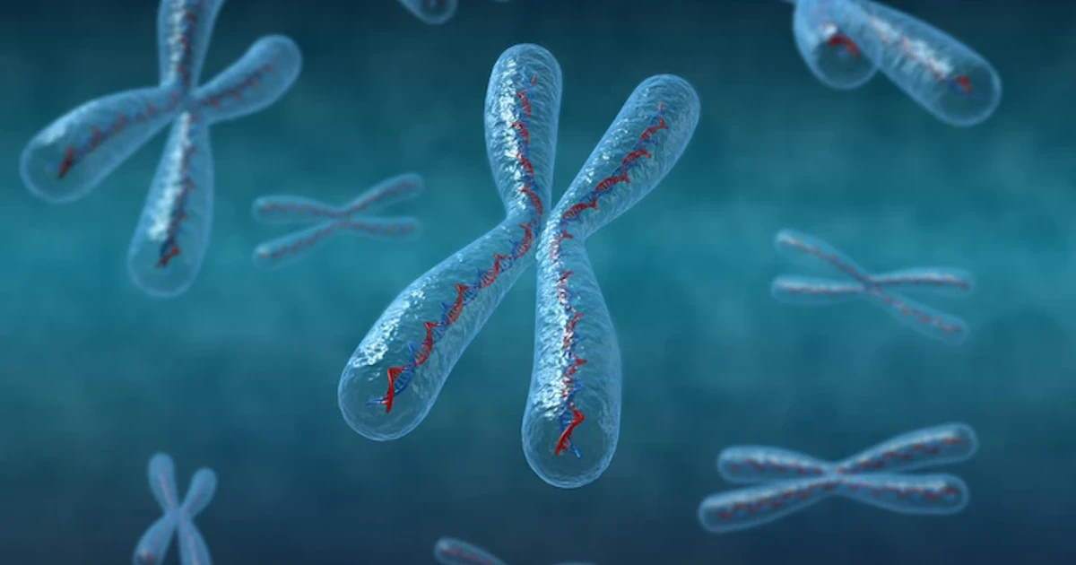Mutagenic Impact Of Environmental Exposure – How It Induces Mutations ...