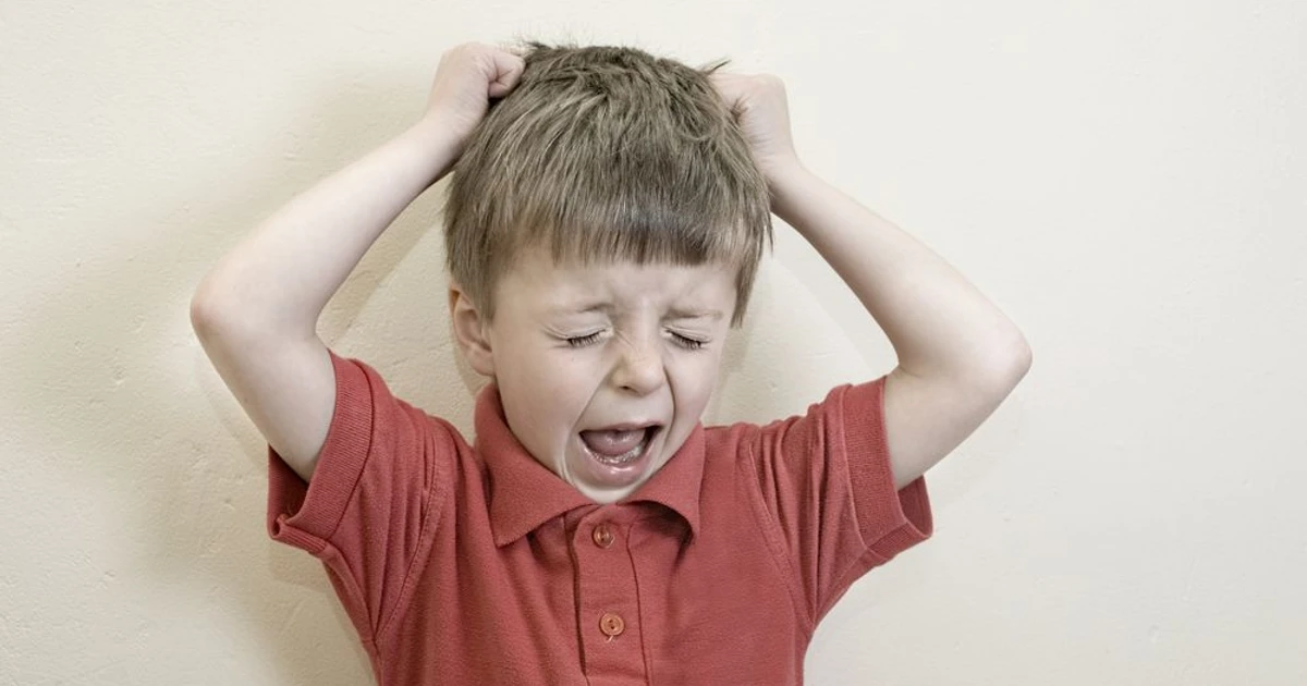 Autism Spectrum Disorders - What It Means Through The Complex-Dynamic ...