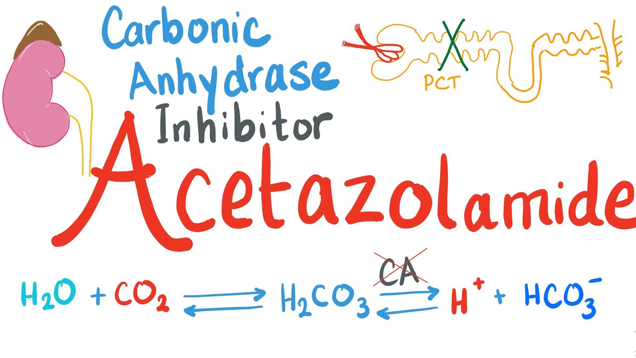 Carbonic Anhydrase Inhibitor – Overview Of Its Uses And Mechanism Of Action