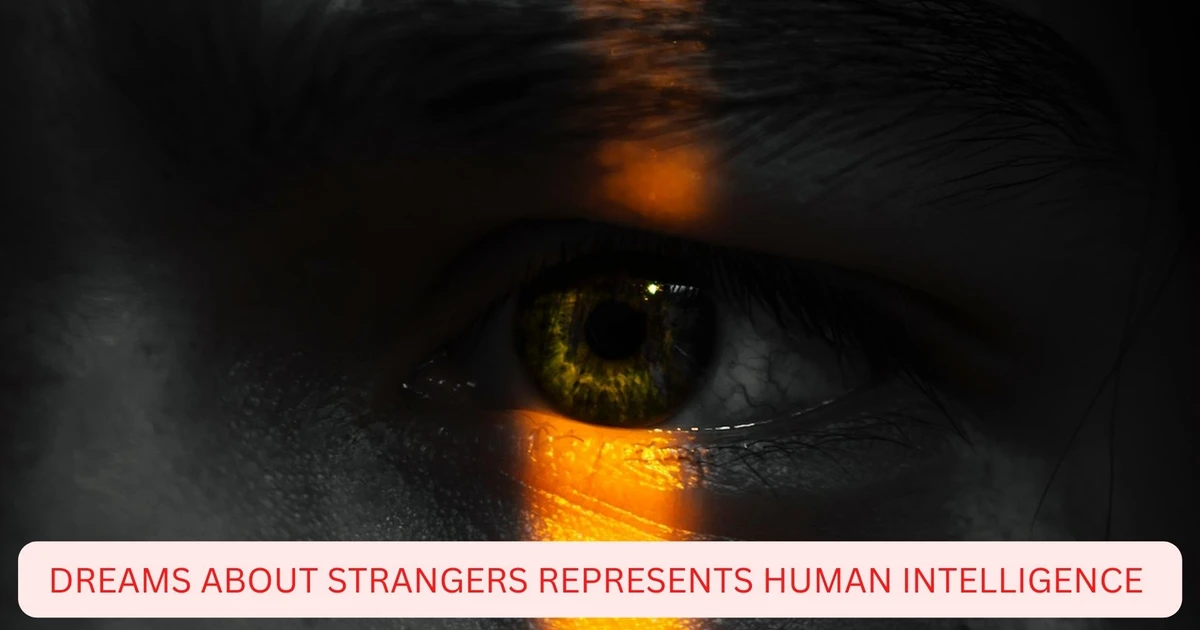 Dreams About Strangers - Represents Human Intelligence