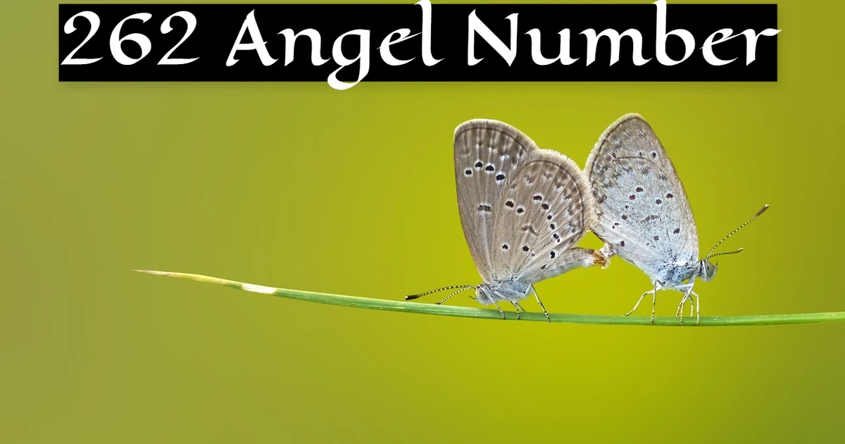 262 Angel Number Meaning - Growing Together With Family
