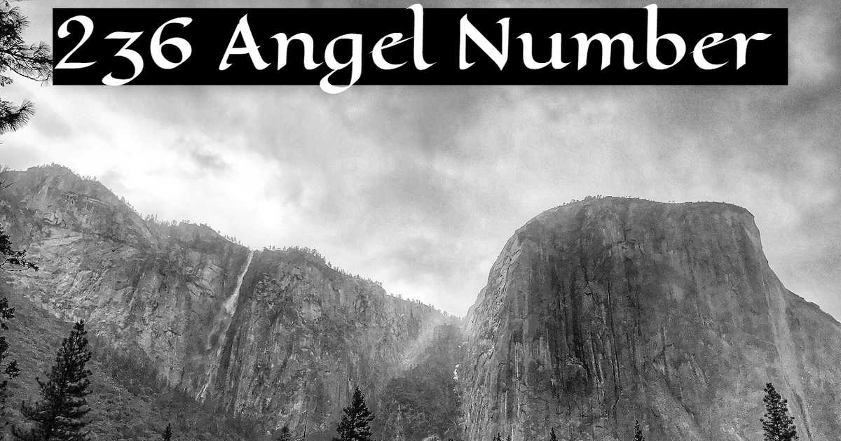 236 Angel Number - Symbolizes Hard Work And Success