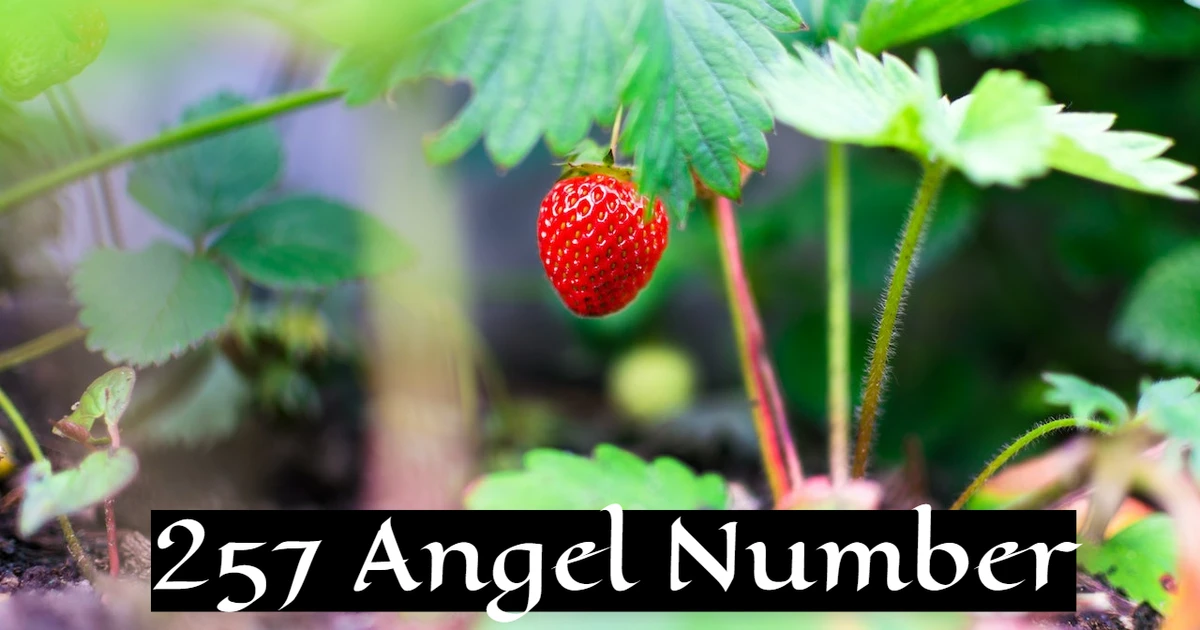 257 Angel Number Representation - Systematic And Stable Life