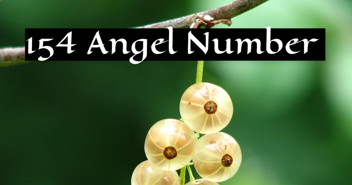 154 Angel Number - Meaning & Twin Flame