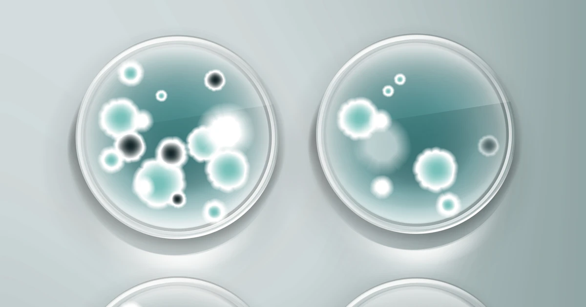 Scientists Develop The World's First Synthetic Human Gut Microbiome ...