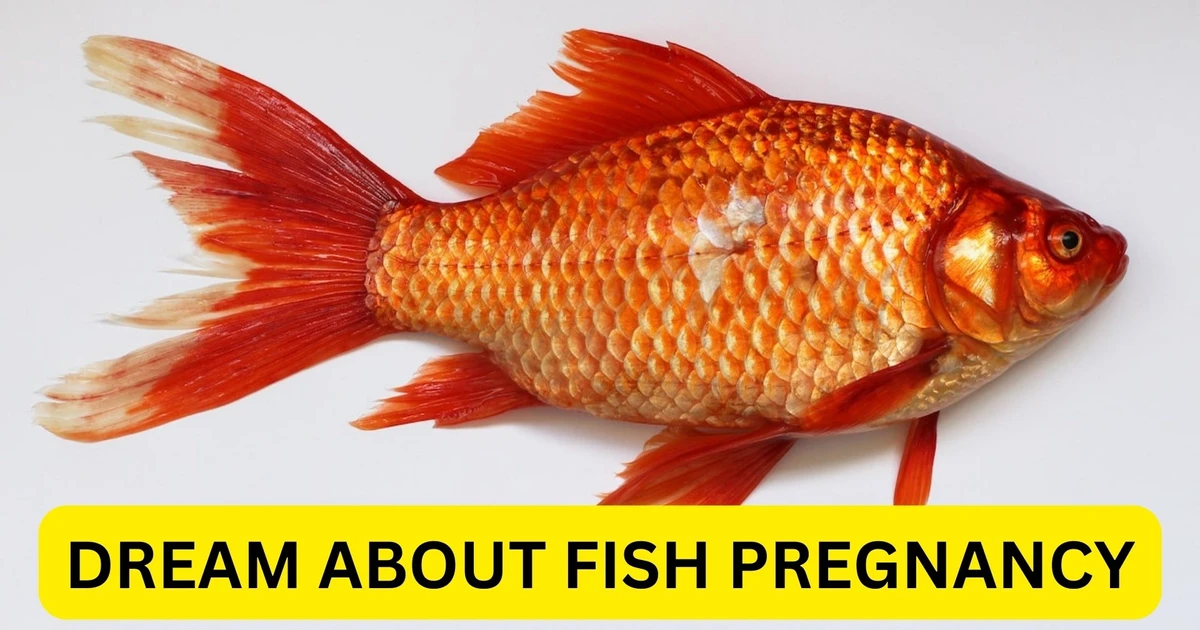 Dream About Fish Pregnancy - Interpretations & Meanings