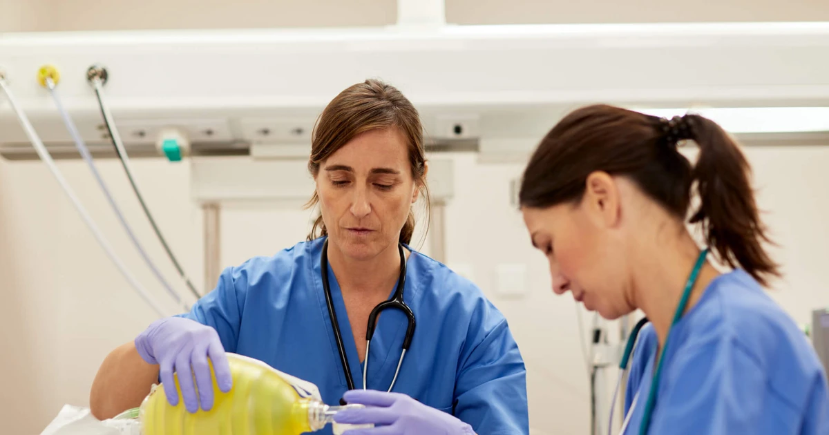 Trauma Nurse - What Are Their Job Qualifications And Salary?