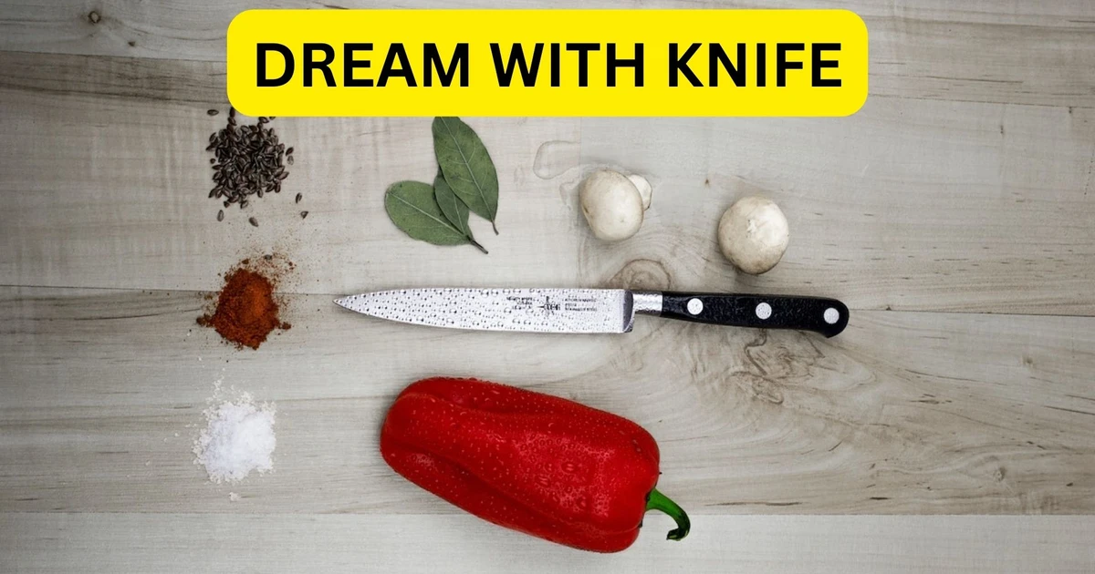 Dream With Knife - A Sign Of Division