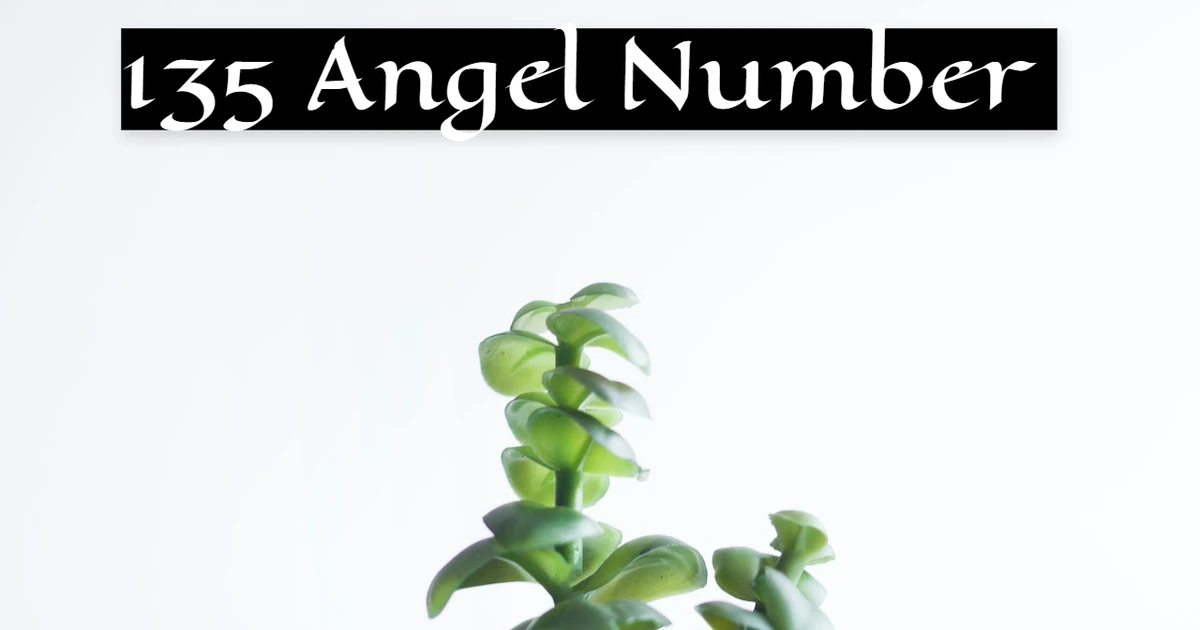 135 Angel Number Meaning - Positive Mind