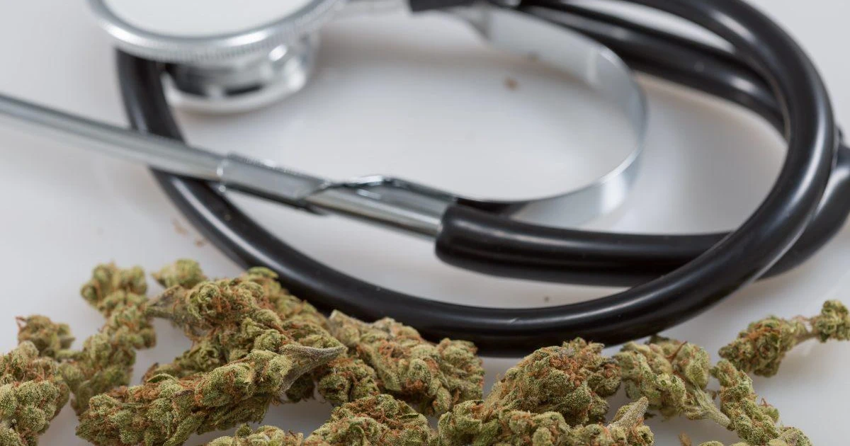 The Decade Of The Brain And Medical Legalization Of Cannabis