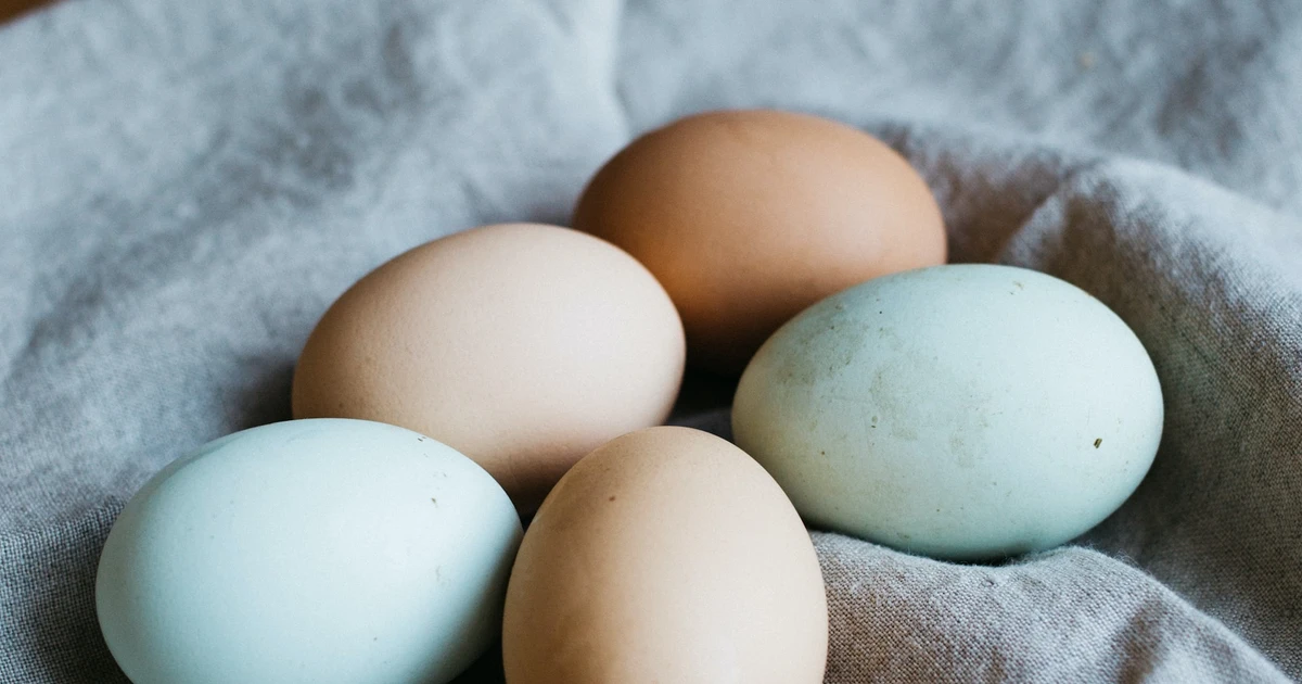 Trauma Egg - What Is It And Why Is It Done?