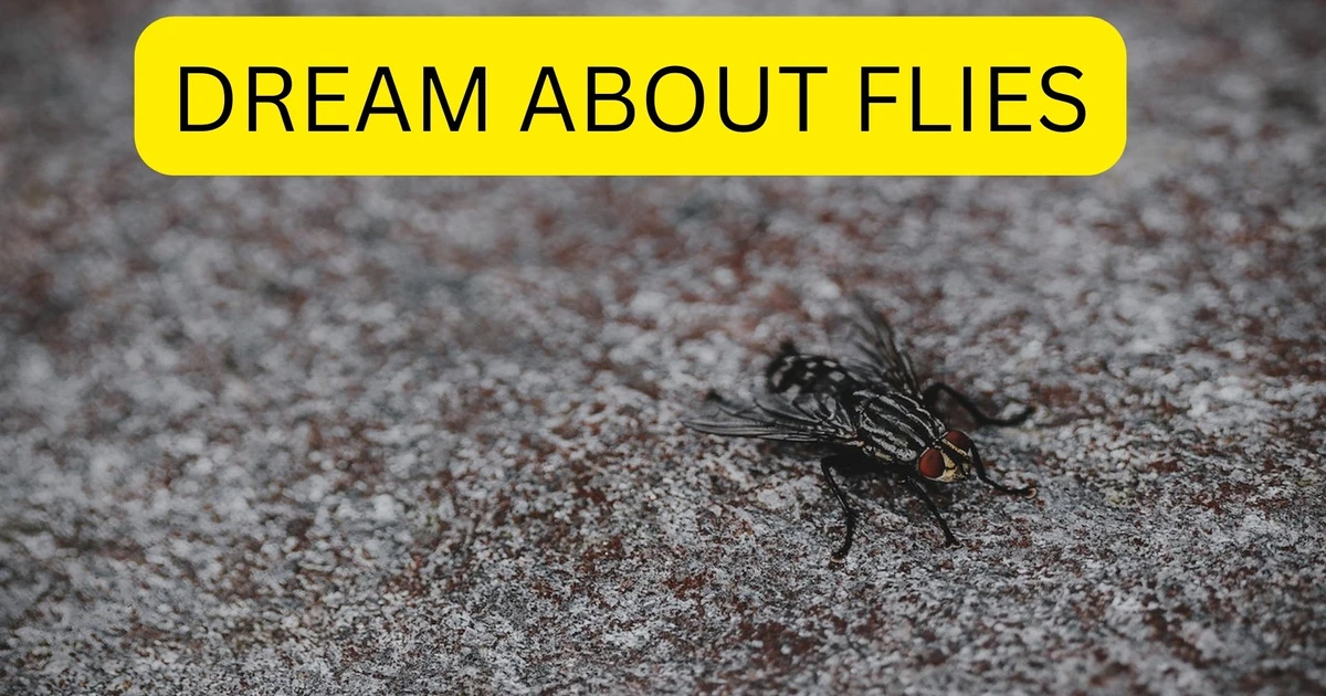 Dream About Flies - An Indication Of Anxiety We've Been Experiencing
