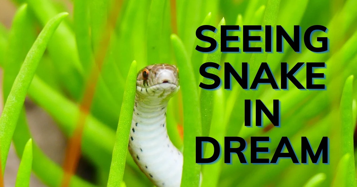 Seeing Snake In Dream - It Represents A Hidden Enemy