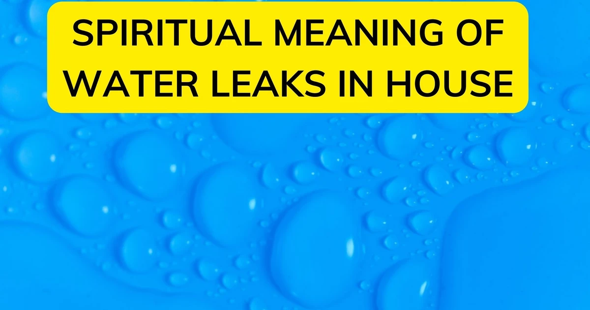 Spiritual Meaning Of Water Leaks In House - A Personal Loss