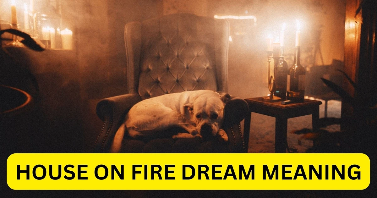 House On Fire Dream Meaning - Symbolize Uncertainty And Losses