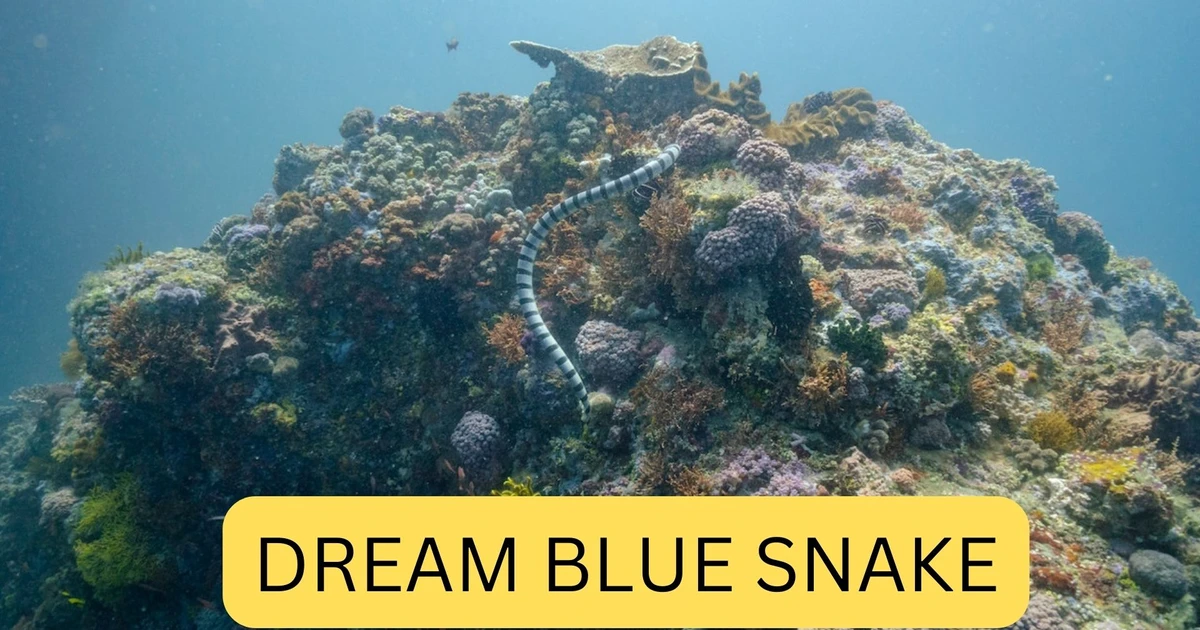 Dream Blue Snake - A Symbol Of Potential Risk