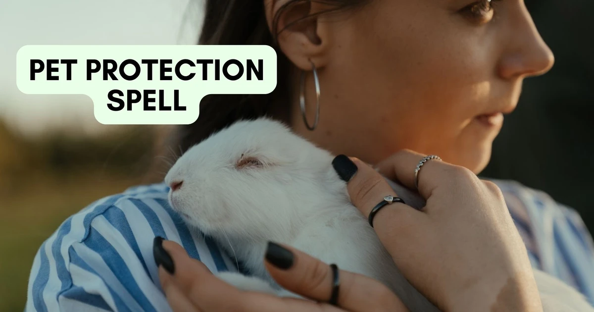 Pet Protection Spell - Perfect Way To Protect Your Pet [2024]