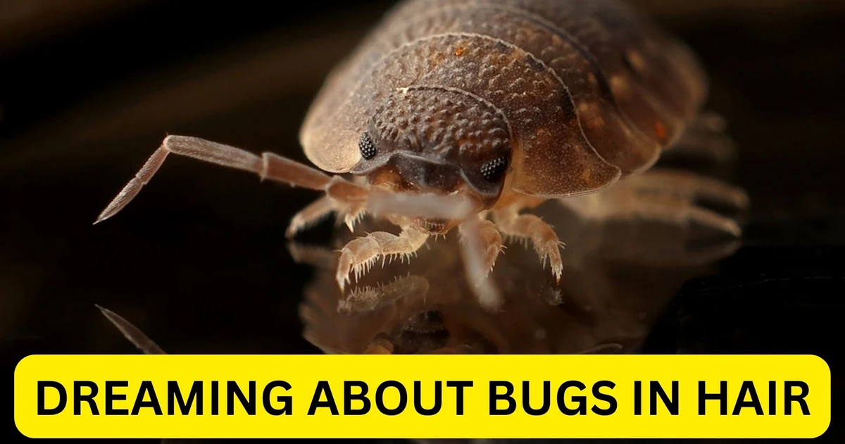 Dreaming About Bugs In Hair - Guide To Handle Those Dreams