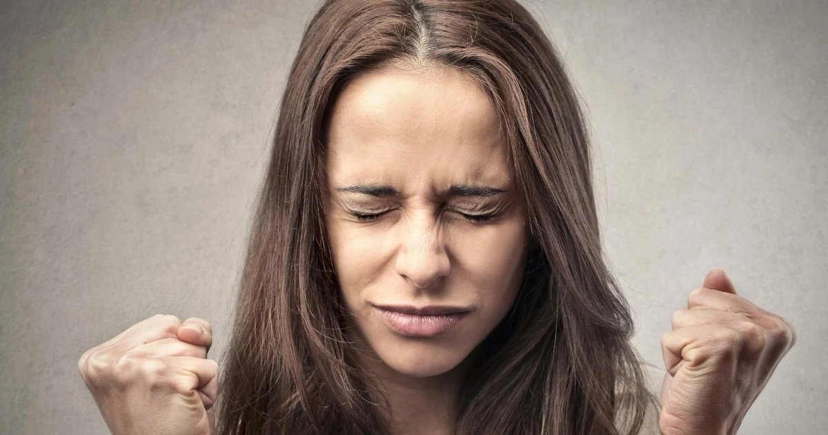 Aggression - The Ventromedial Hypothalamus And Aggression Generation