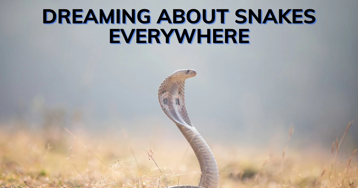 Dreaming About Snakes Everywhere - It Indicates An Inability To Control ...