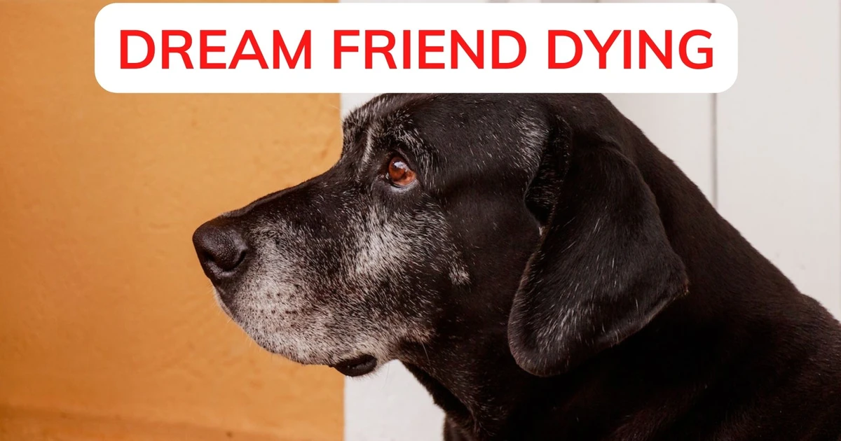 Dream Friend Dying - Reflects The Fear Of Change