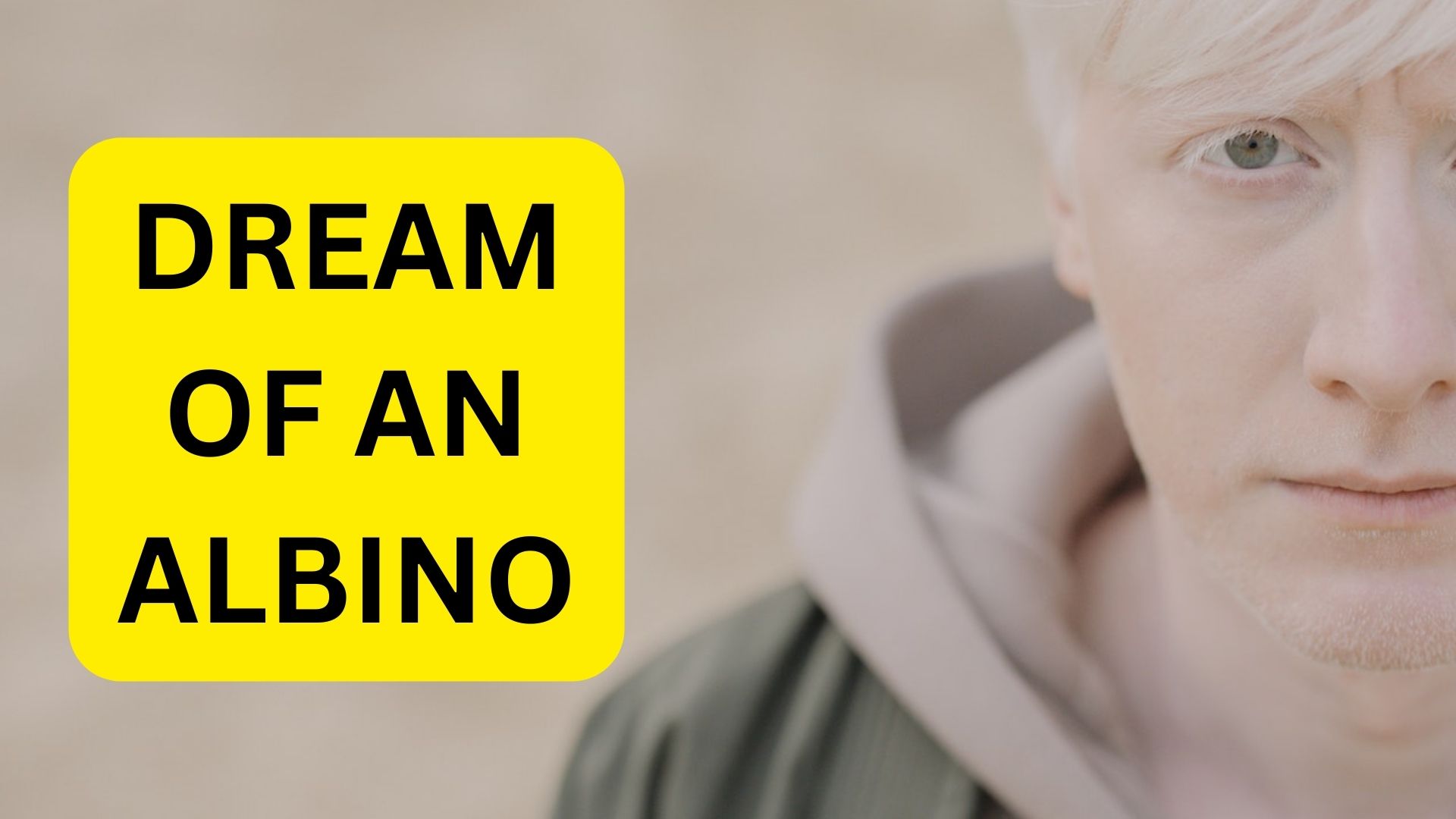 Dream Of An Albino - A Symbol Of Decency, Honor, And Infinite Gratefulness