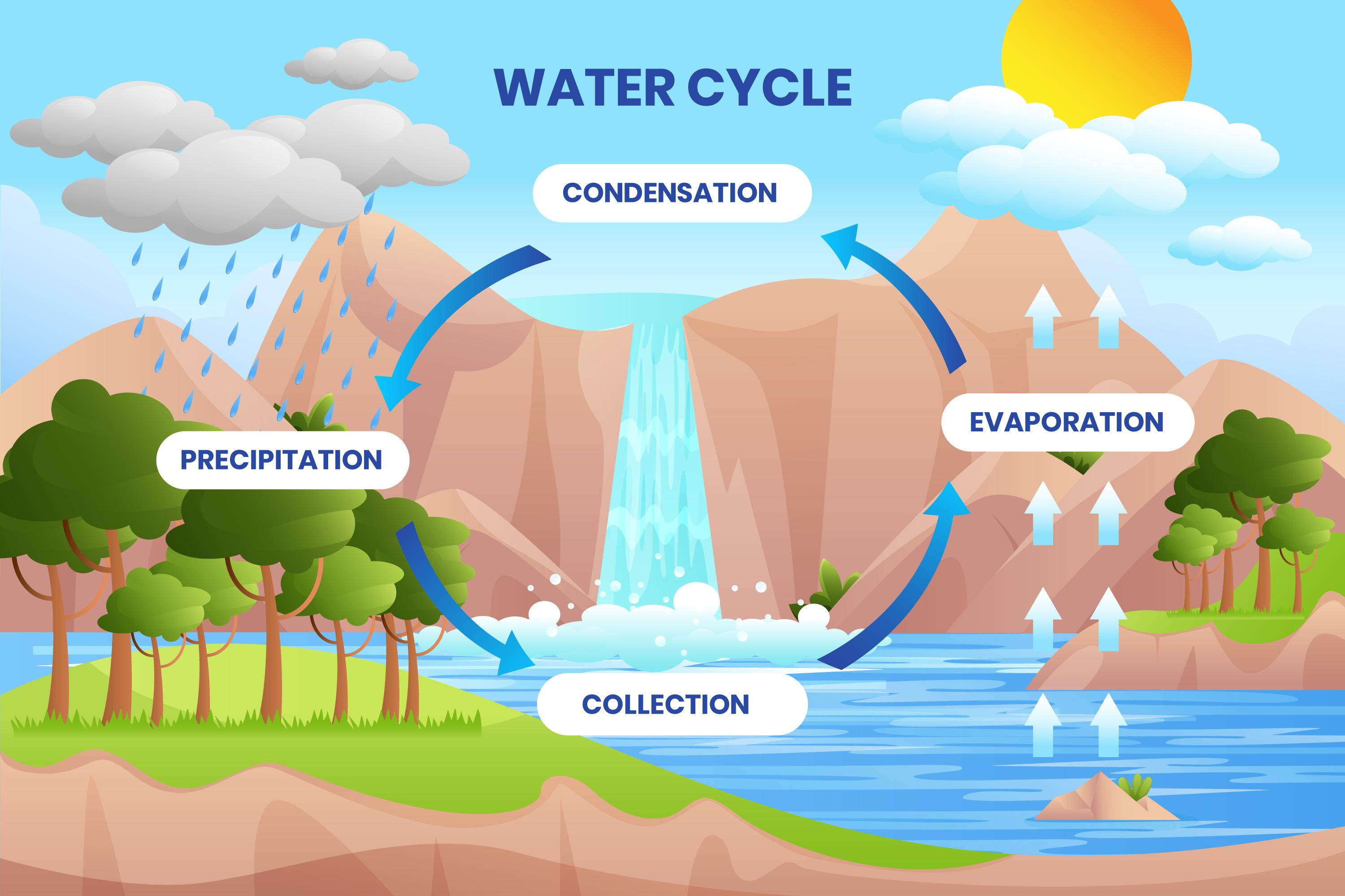 Water Cycle - The Atmospheric Water Cycle On A Global Scale