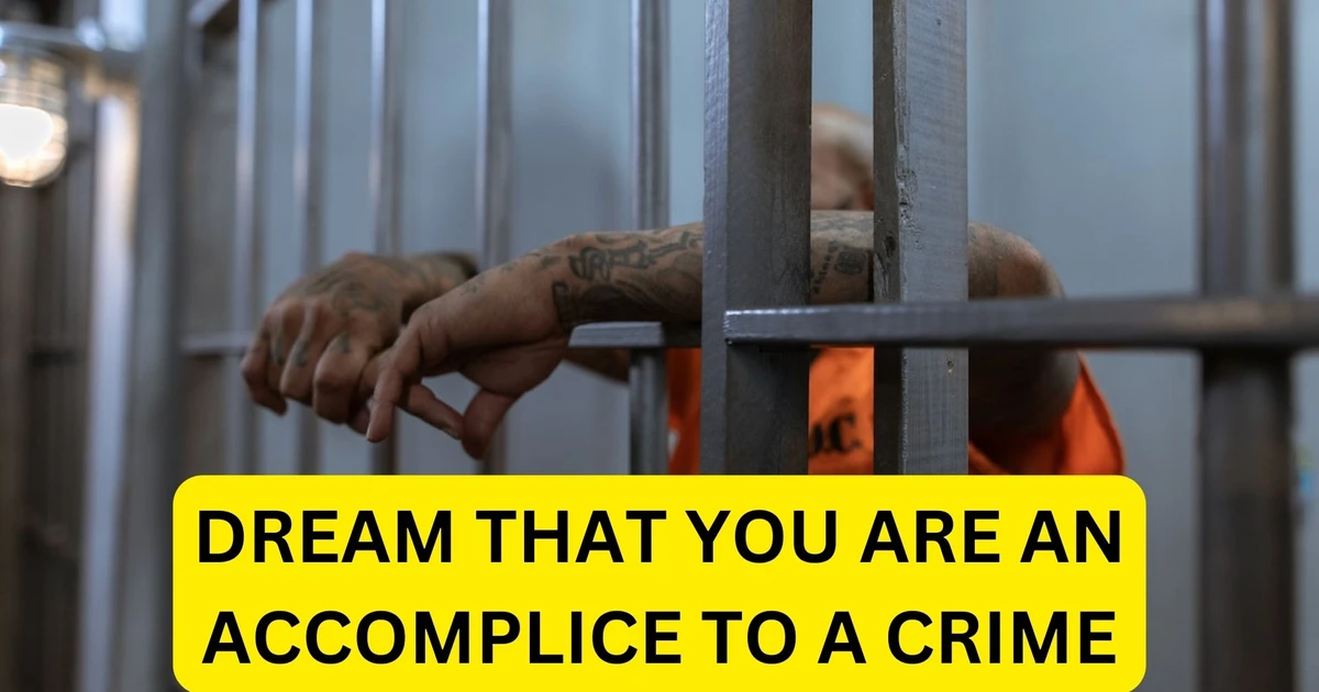Dream That You Are An Accomplice To A Crime