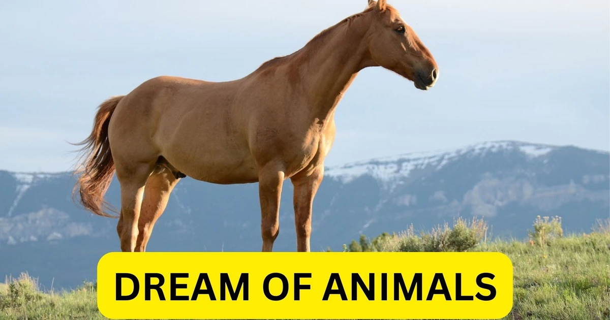 Dream Of Animals - It Signifies Our Basic Instincts