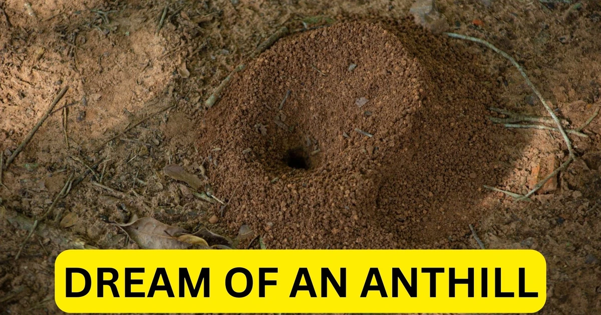 Dream Of An Anthill - A Symbol Of Hard Work