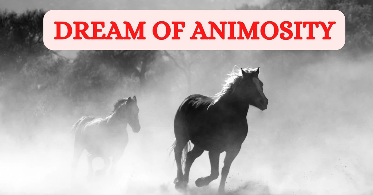 Dream Of Animosity - Interpretations & Meanings