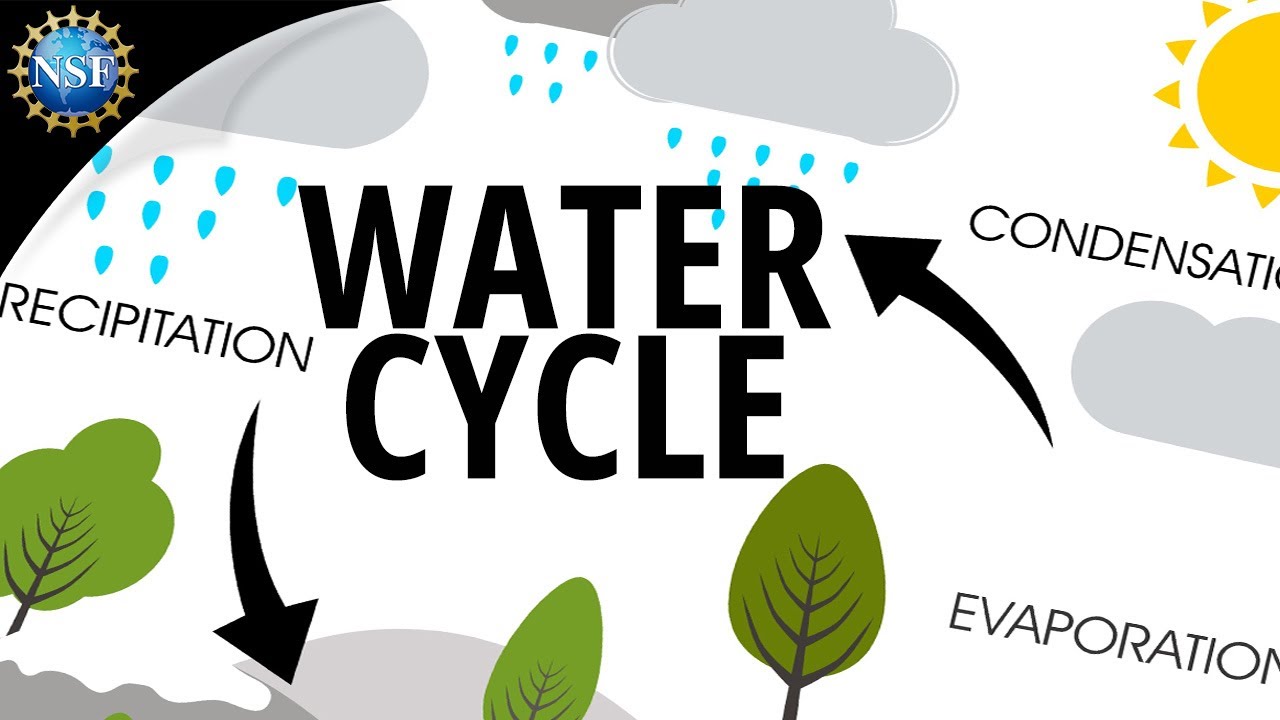 Water Cycle - The Atmospheric Water Cycle On A Global Scale