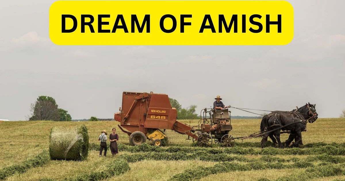 Dream Of Amish - Meaning And Interpretation