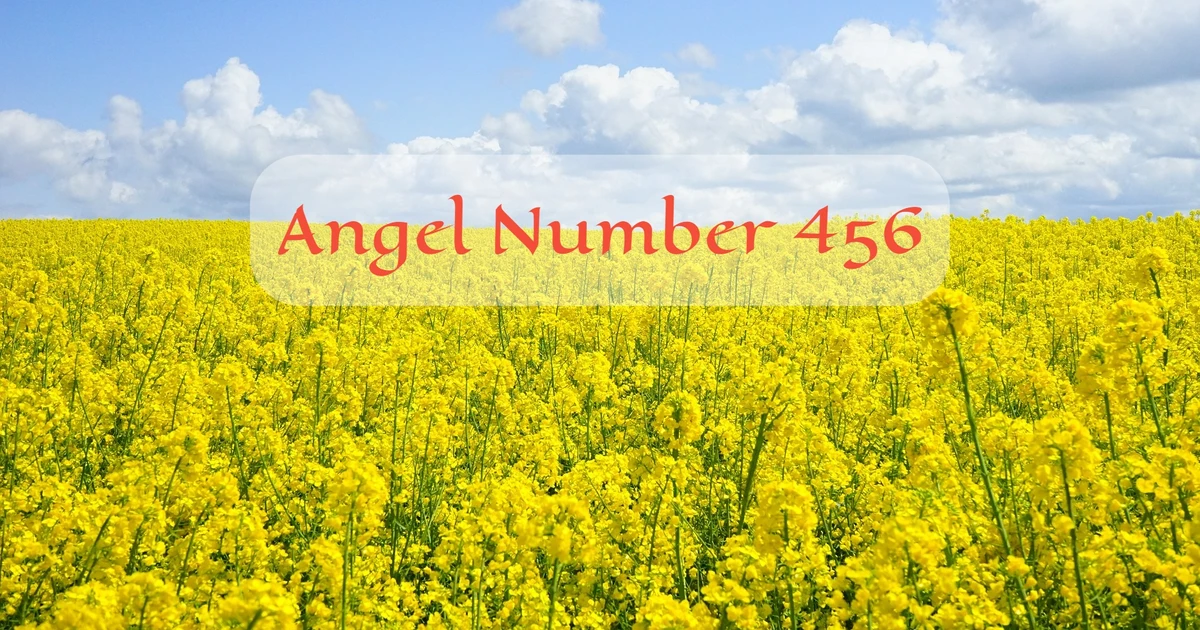 Angel Number 456 Meaning - The Symbol For Forward Motion