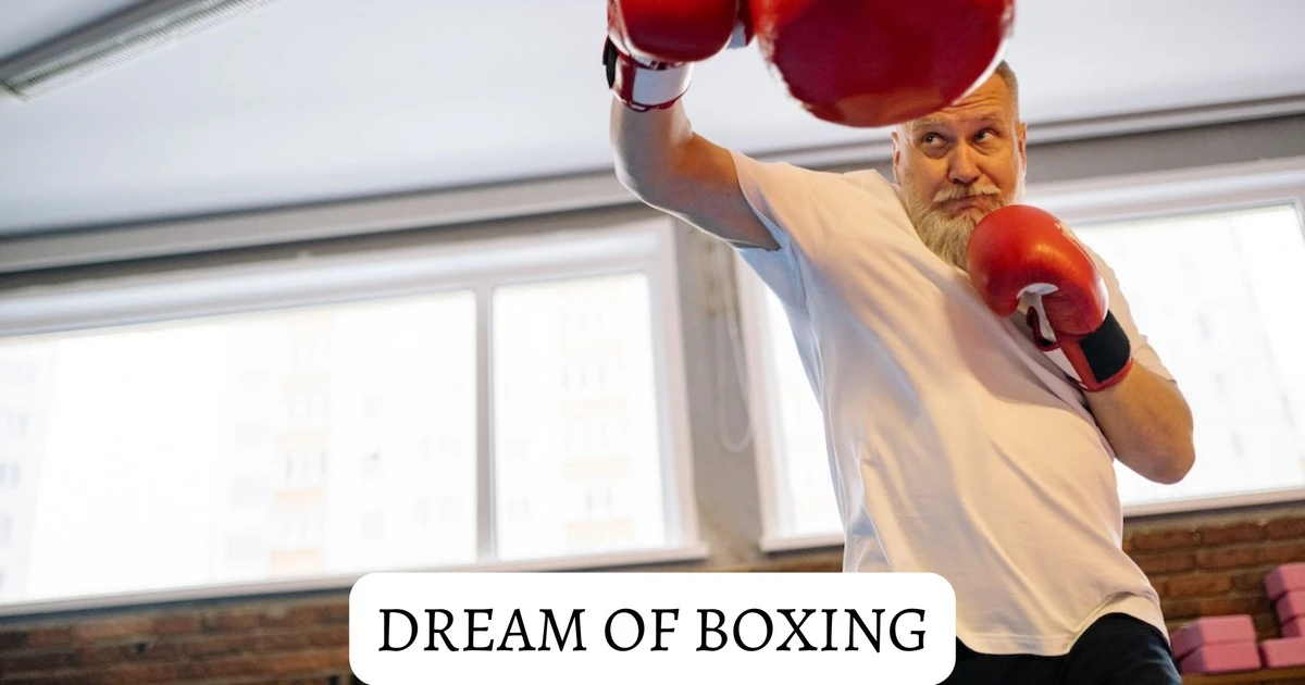 Dream Of Boxing Symbolism - Strength, Aggression, Rivalry, And Rage