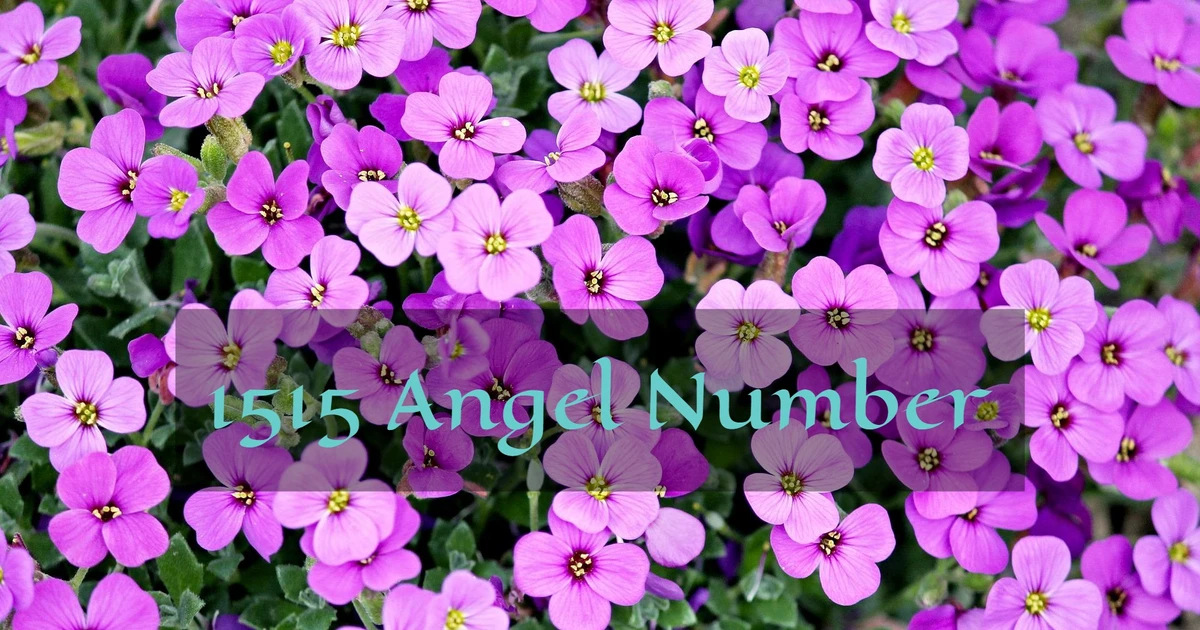 1515 Angel Number - Denotes One's Creativity And Artistry