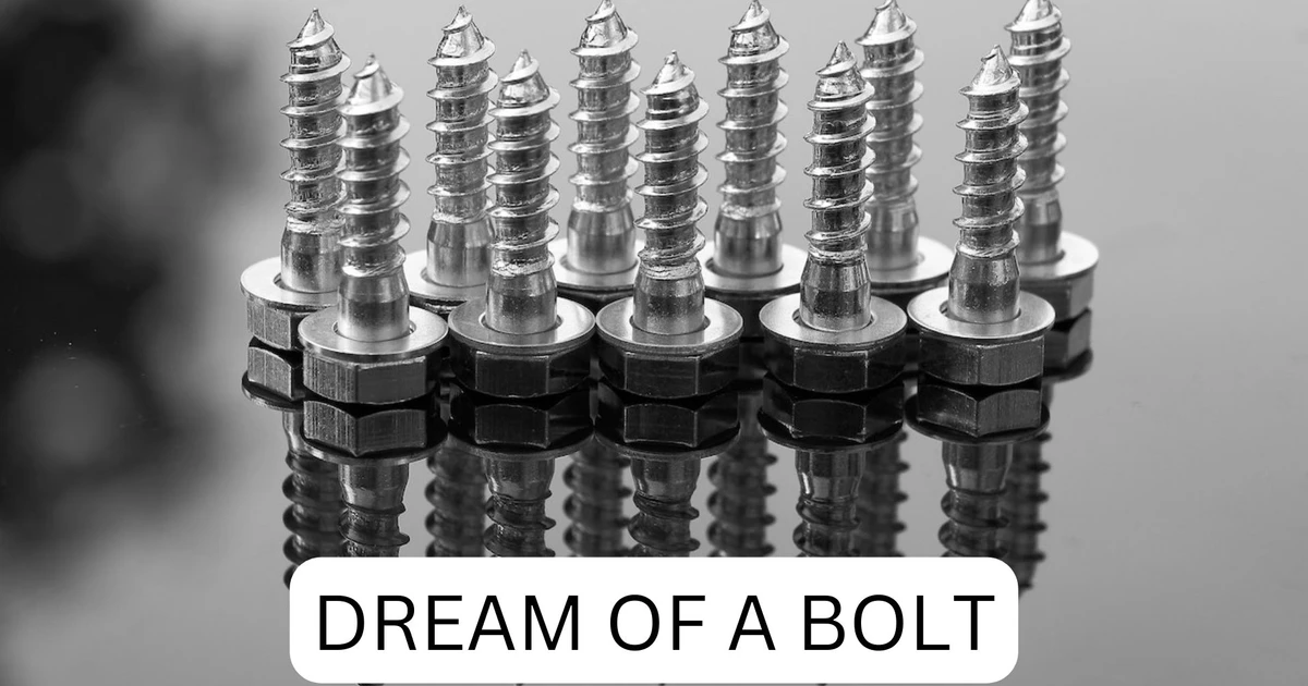 Dream Of A Bolt - Secure Choices Or Commitments