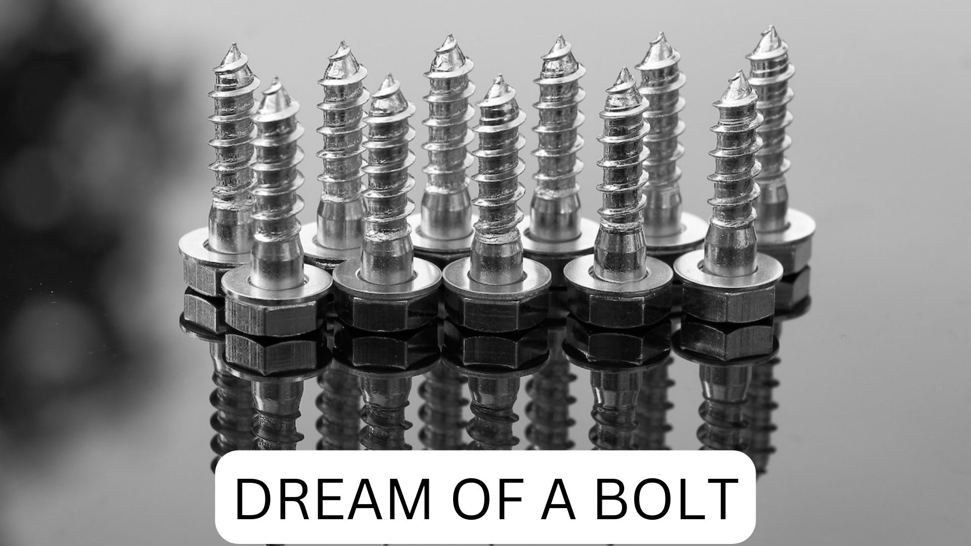Dream Of A Bolt - Secure Choices Or Commitments