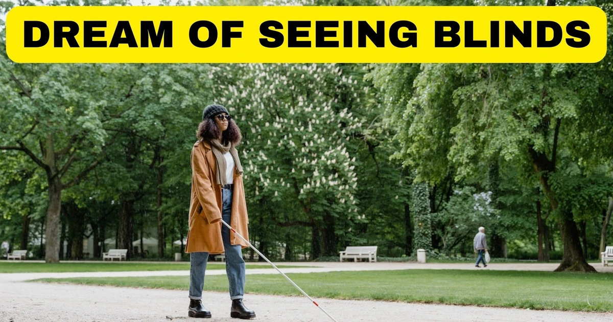 Dream Of Seeing Blinds - More Positive And More Dynamic Attitude