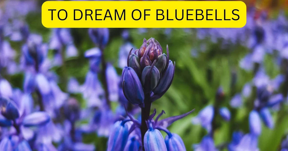 To Dream Of Bluebells Symbolism - Gratitude And Humility