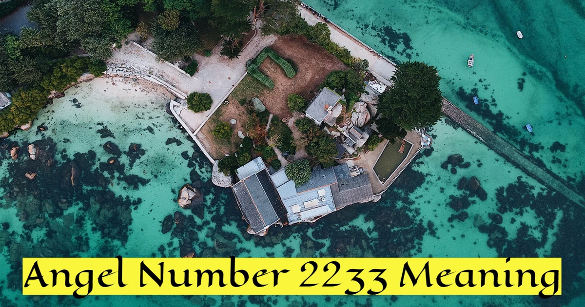 Angel Number 2233 Meaning - Represent Powerful Call To Action