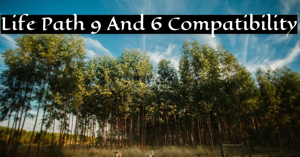 Life Path 9 And 6 Compatibility - Extremely Compatible
