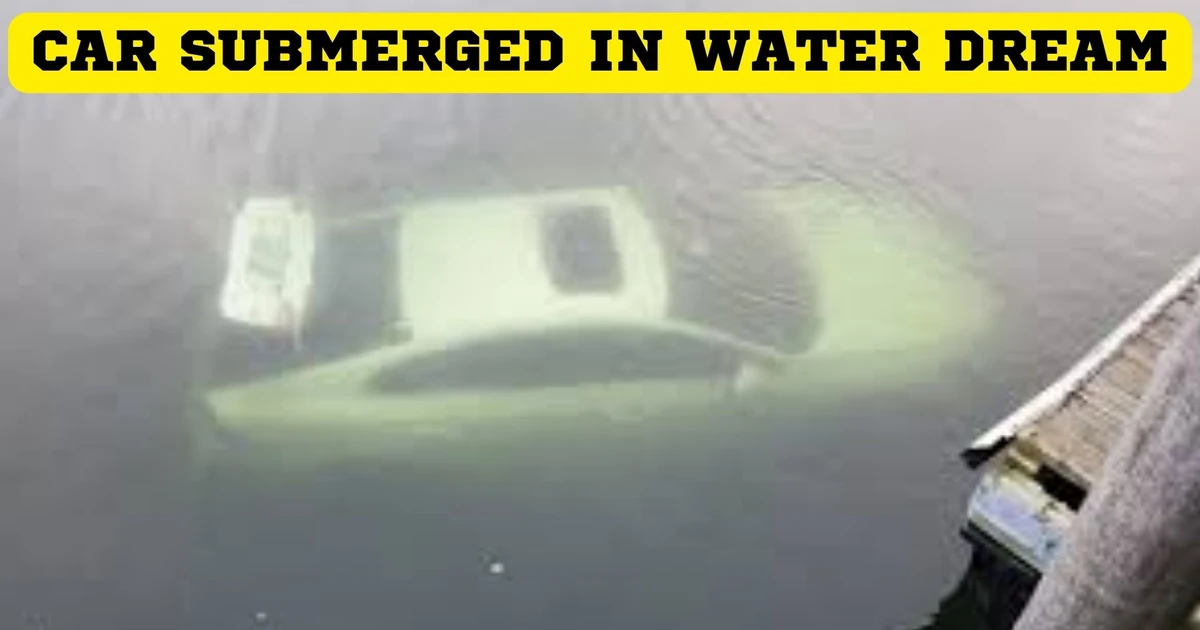 Car Submerged In Water Dream - It Symbolizes Bravery