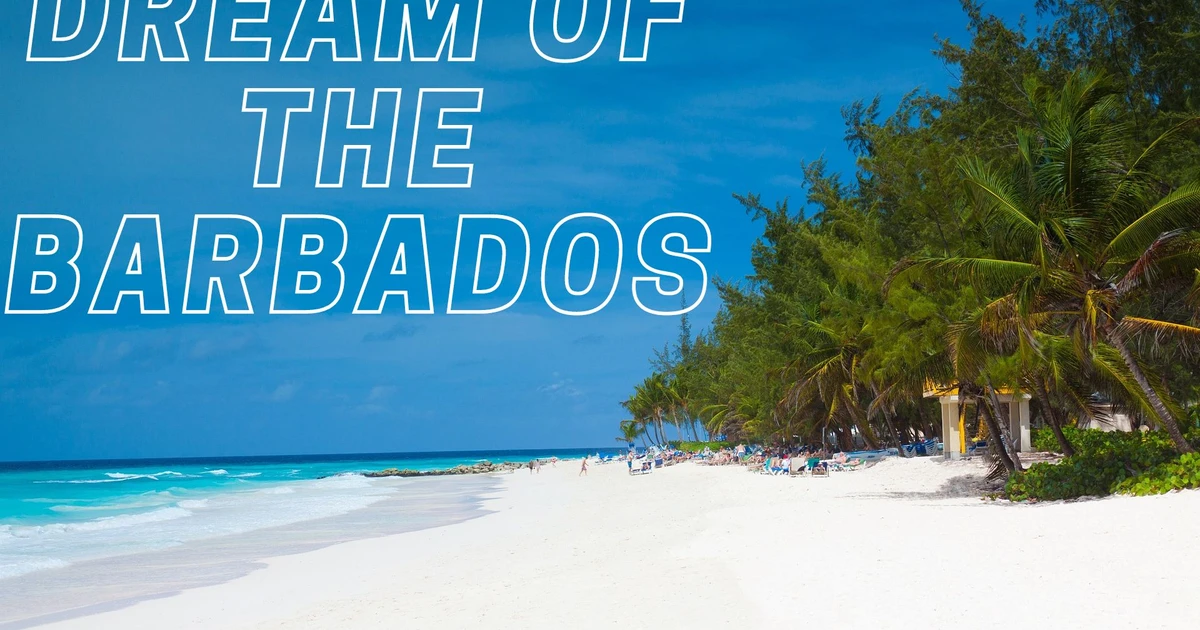 Dream Of The Barbados - Interpretation And Meaning