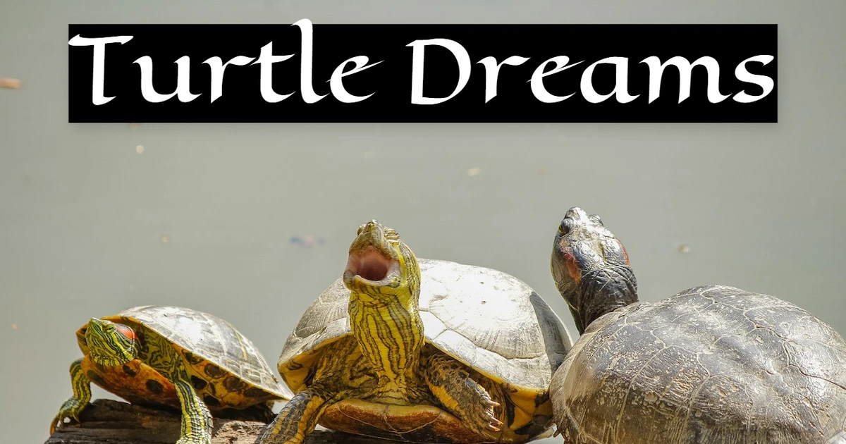 Turtle Dreams Symbolism & Meaning - Wisdom And Longevity