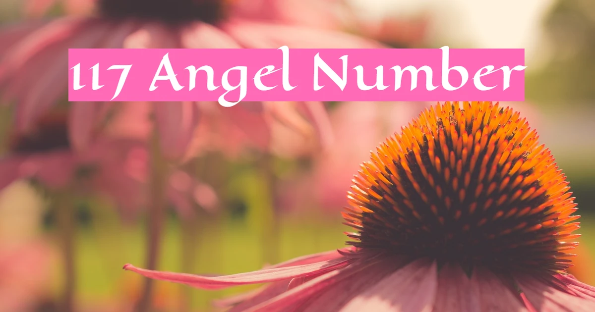 117 Angel Number - Indicates Hope And Encouragement