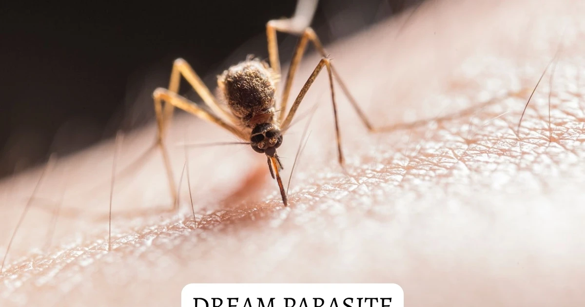 Dream Parasite Meaning - A Symbolism Of Unstable Relationships