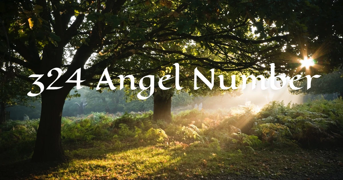 324 Angel Number - A Powerful Spiritual Message From The Universe